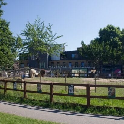 Vauxhall City Farm