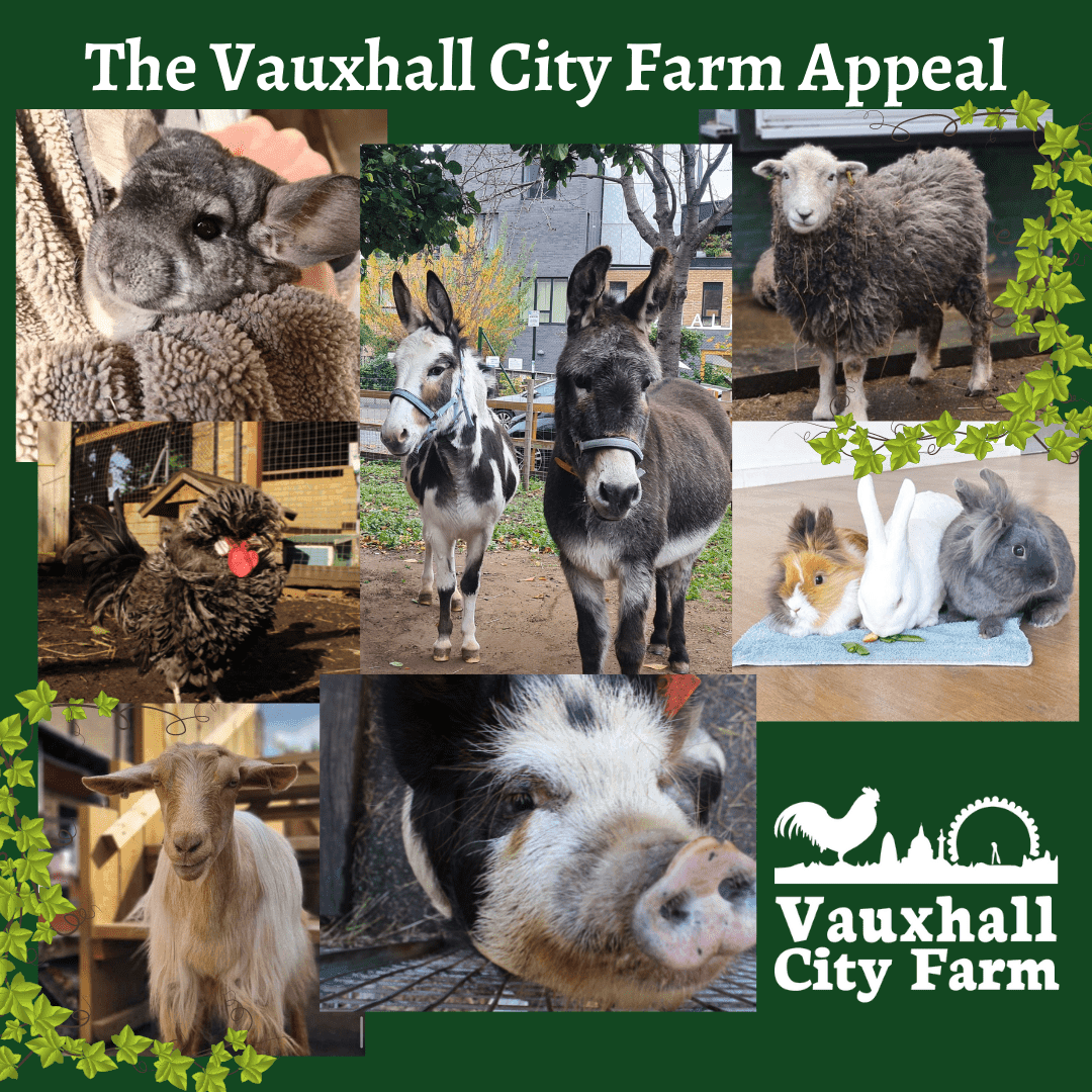 Easter at Vauxhall City Farm! - Vauxhall City Farm