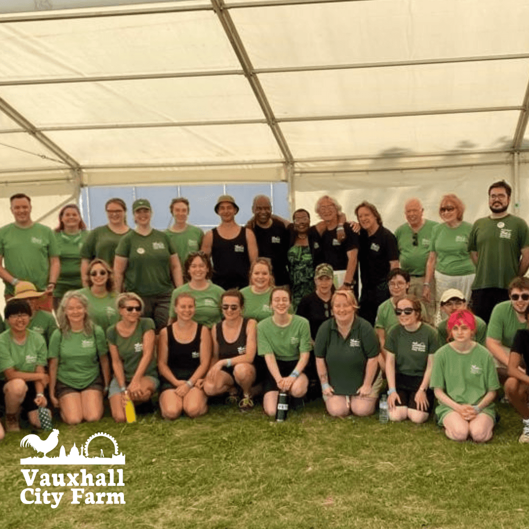 June 2023 Newsletter from Vauxhall City Farm, by Fiona the horse ...