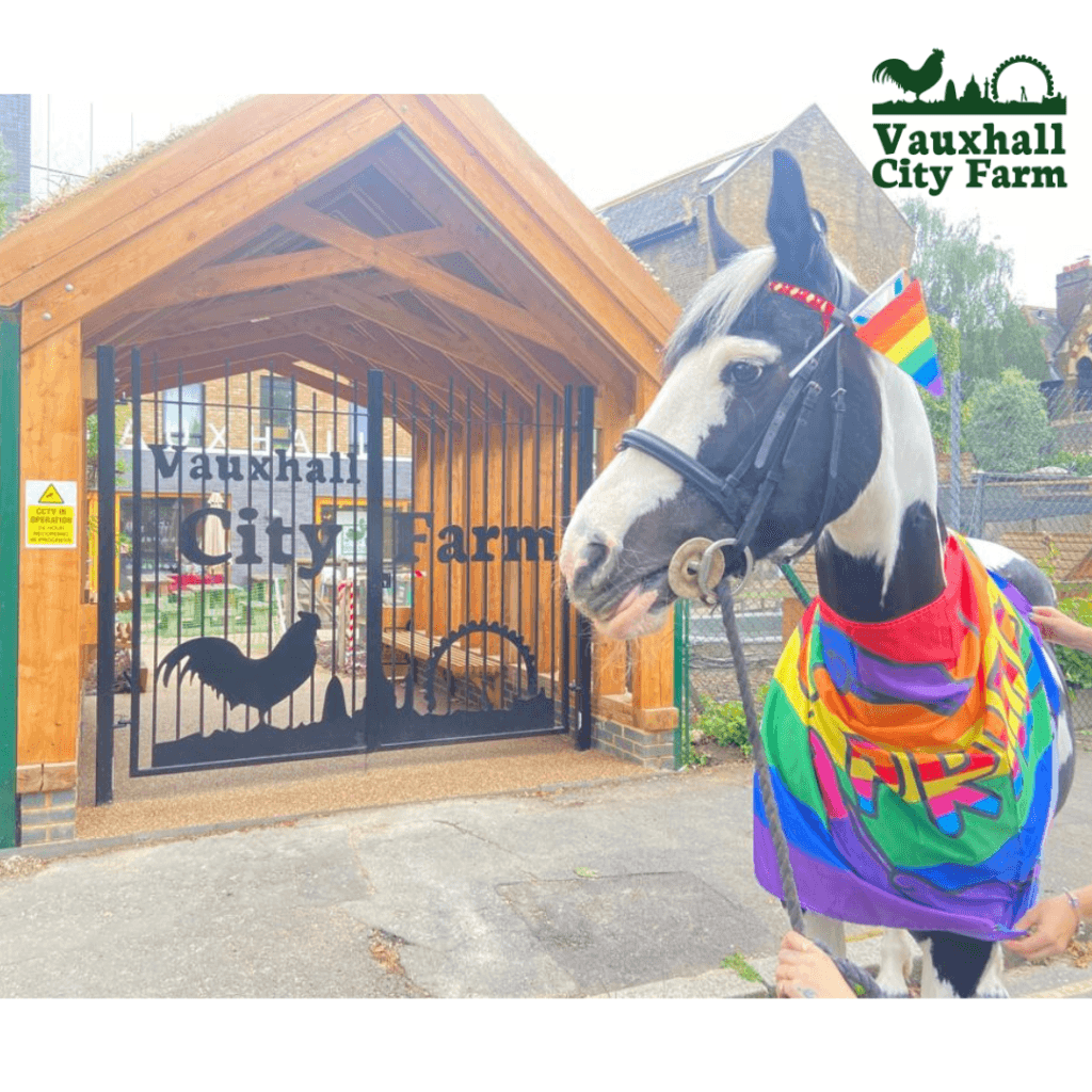 Vauxhall City Farm